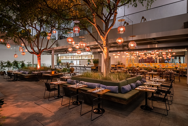 Epicurean Gem – Dining with David Tanis at Lulu Restaurant | Gwen Books